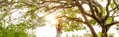 Les trois gunas : l'univers des gunas - Mieux comprendre les gunas ...